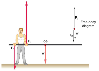 Rotational Equilibrium – mrsmithphsyics.com